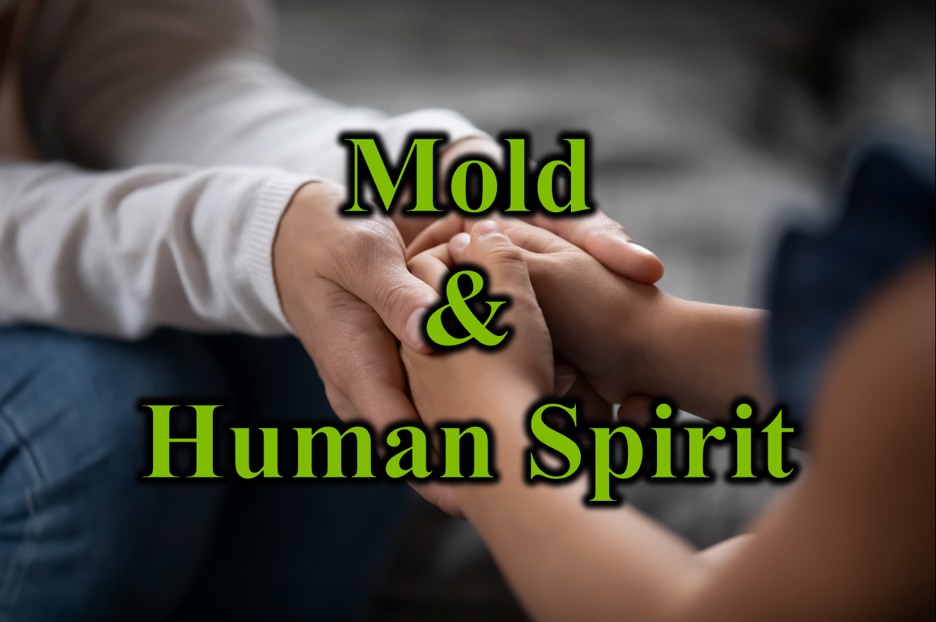 Mold and the Human Spirit - Sanctuary Functional Medicine