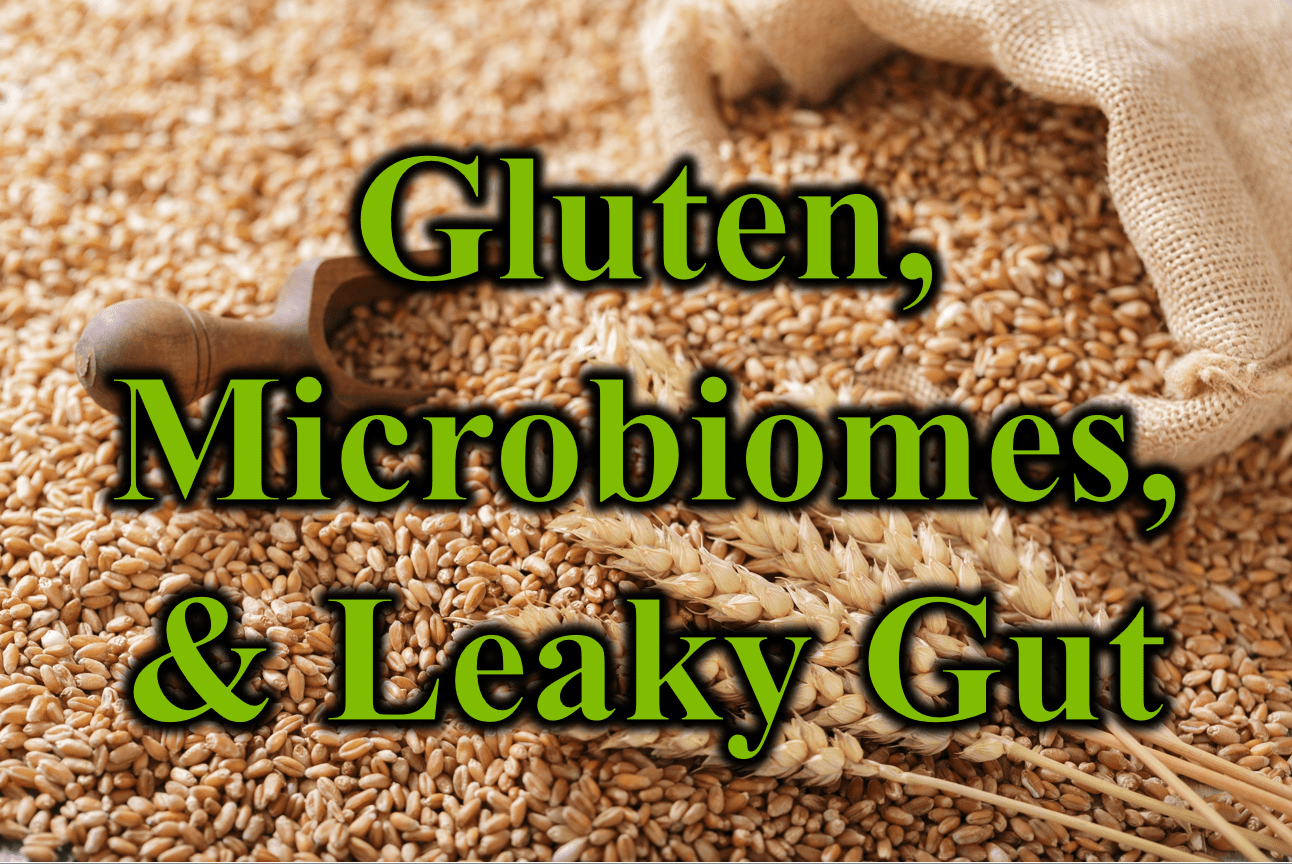 Gluten, The Microbiome, and Leaky Gut - Sanctuary Functional Medicine